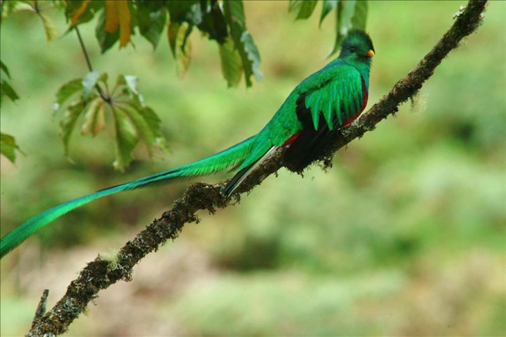 Nature in Guatemala - Enjoy Guatemala